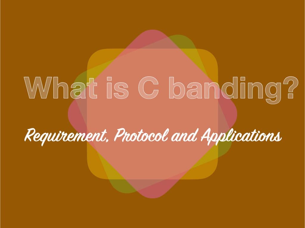 What is C banding?- Requirement, Process, Protocol and Applications ...