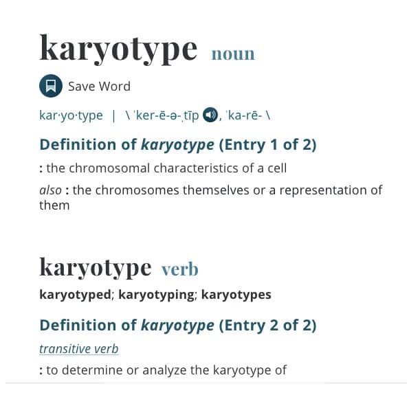 Definition of Karyotype – KaryotypingHub